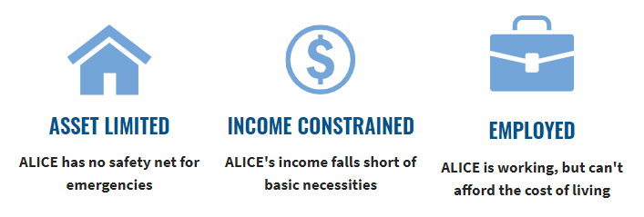 2020 Asset Limited, Income Constraint, Employed (ALICE) Report – Hawai ...
