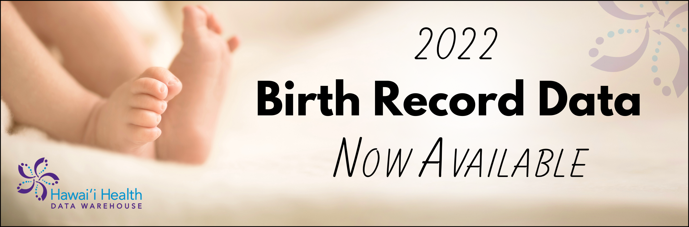 2022 Birth Record Data – Hawai'i Health Data Warehouse