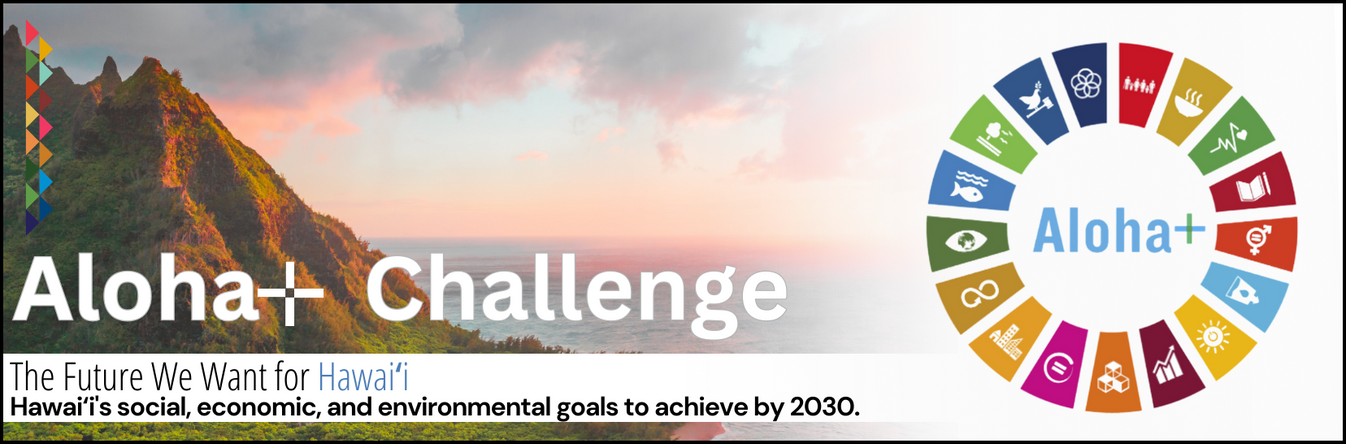 Aloha+ Challenge 2023 Voluntary Local Review – Hawai'i Health Data ...